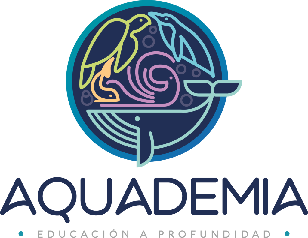 Portafolio - Ranking Consultores